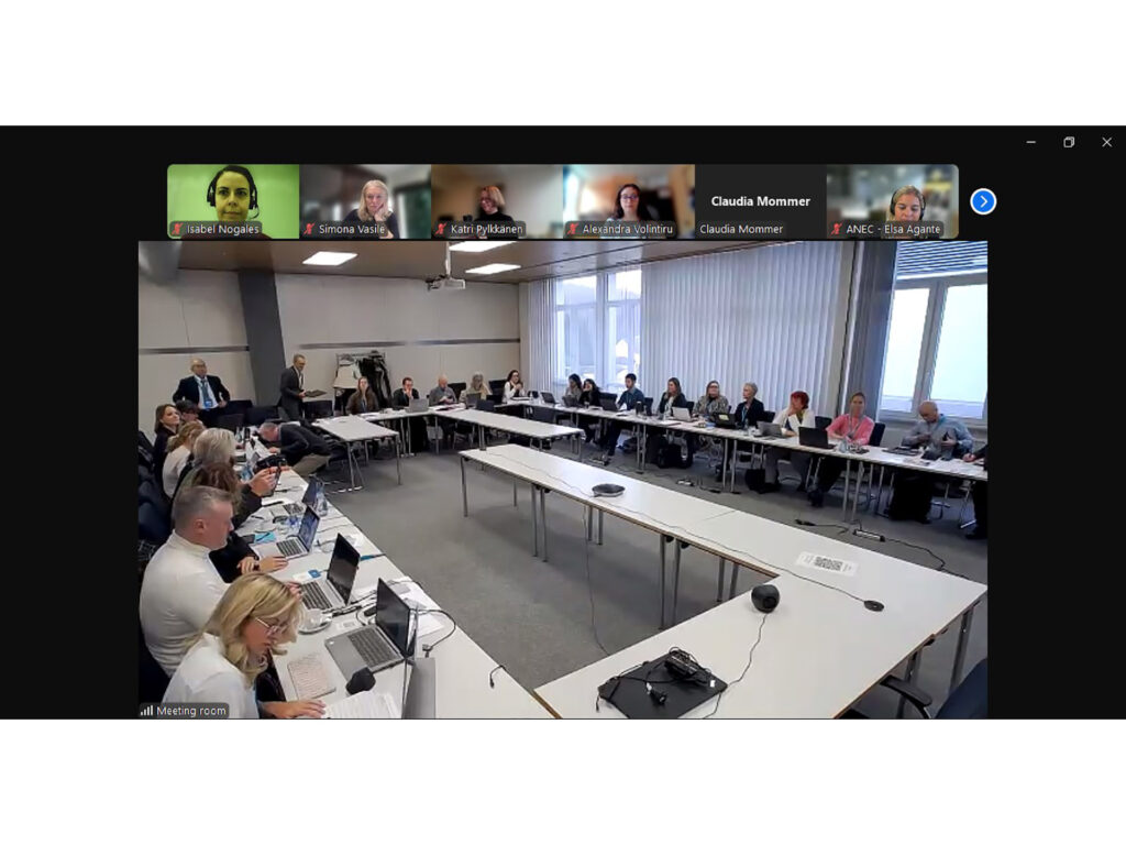 FER ha presentado la elevación de la norma UNE 40700: 2023 a CEN ...